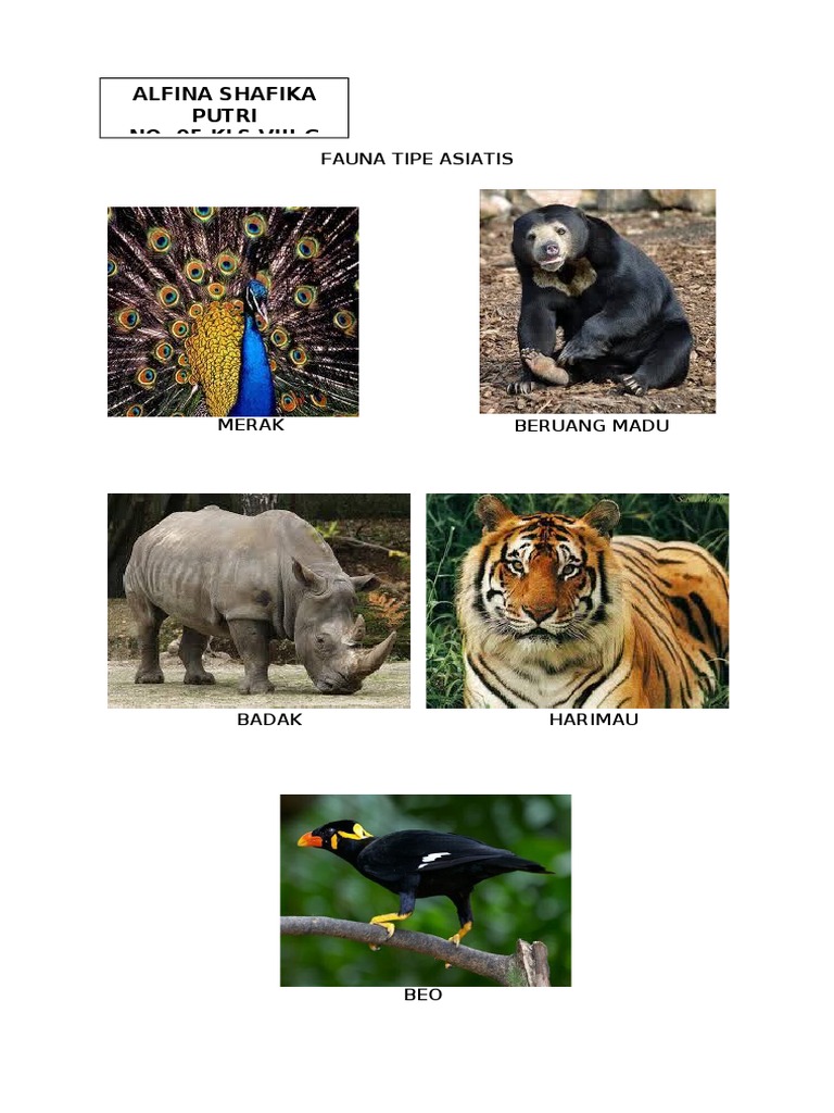 Fauna Tipe Asiatis | PDF