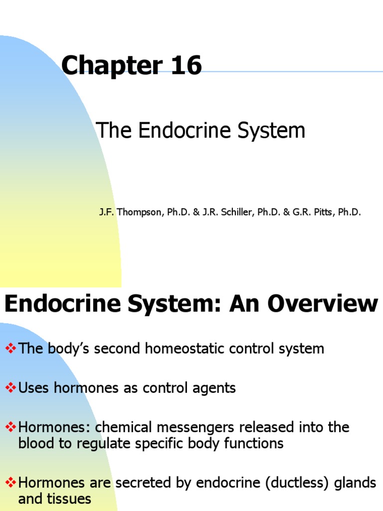 Chapter 16 - The Endocrine System | PDF | Hormone | Adrenal Gland
