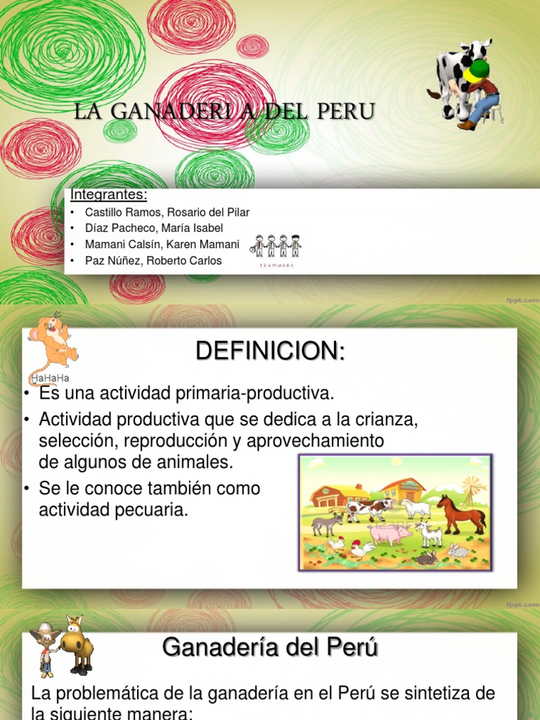 La Ganaderi A Del Peru-Geografia | PDF | Vacas | Ganado