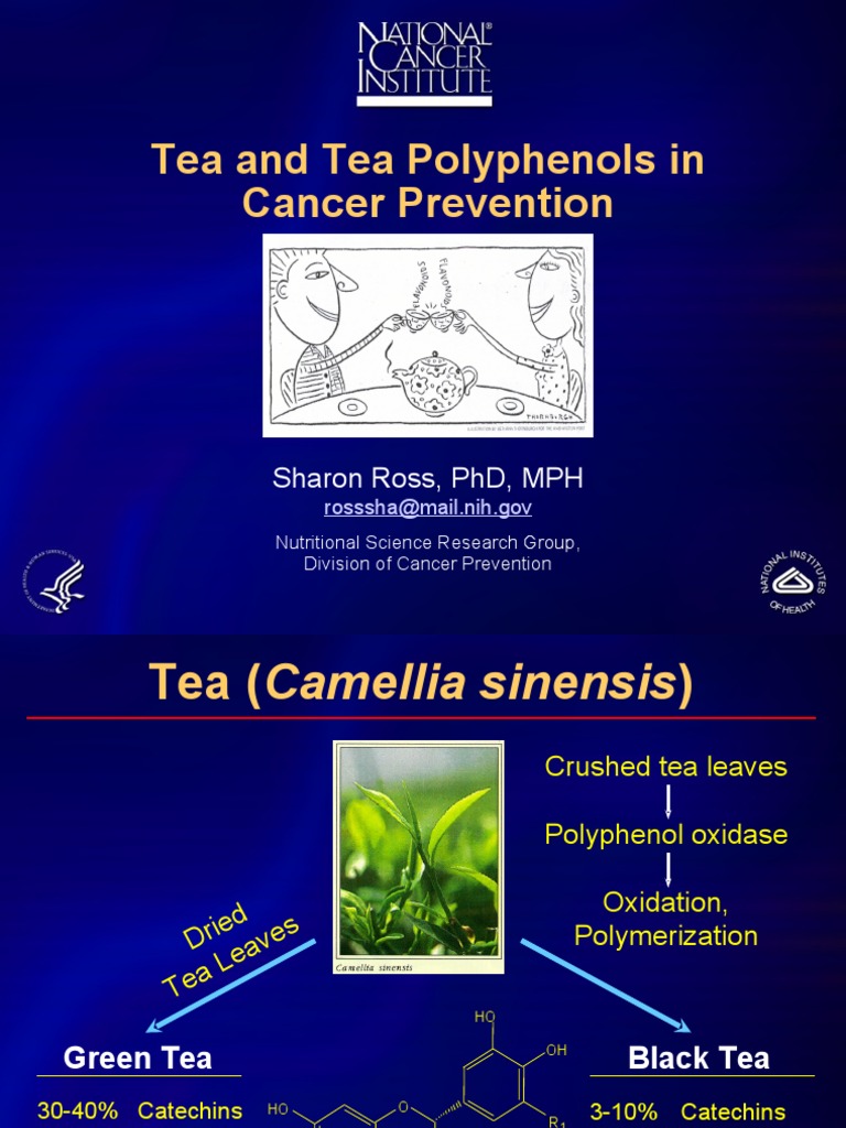 Tea and Tea Polyphenols in Cancer Prevention: Sharon Ross, PHD, MPH ...