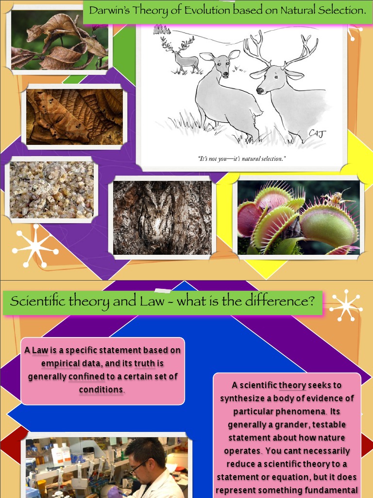 Natural Selection Darwins Evidence | PDF