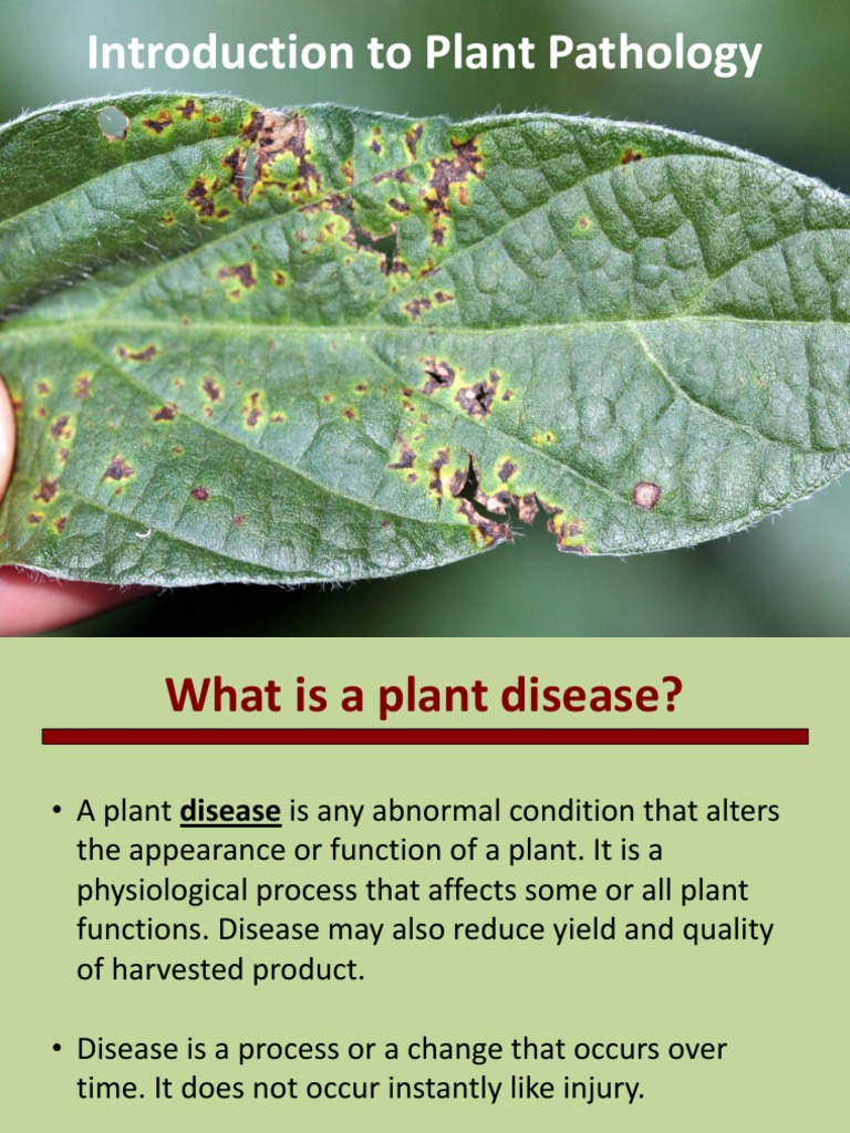 Introduction To Plant Pathology | PDF | Plant Pathology | Pathogen