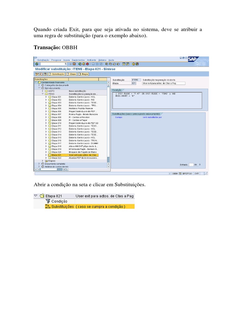Customizig SAP - Criação de Exit OBBH | PDF | Métodos e Materiais de ...