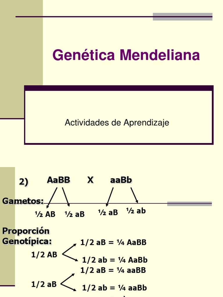 4 Ejercicios Genetica Mendeliana | PDF