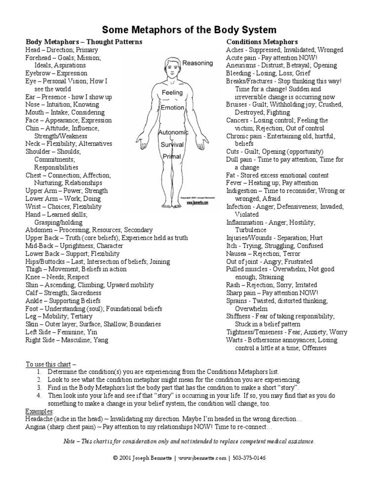 Metaphors of The Body System | PDF | Pain | Anger
