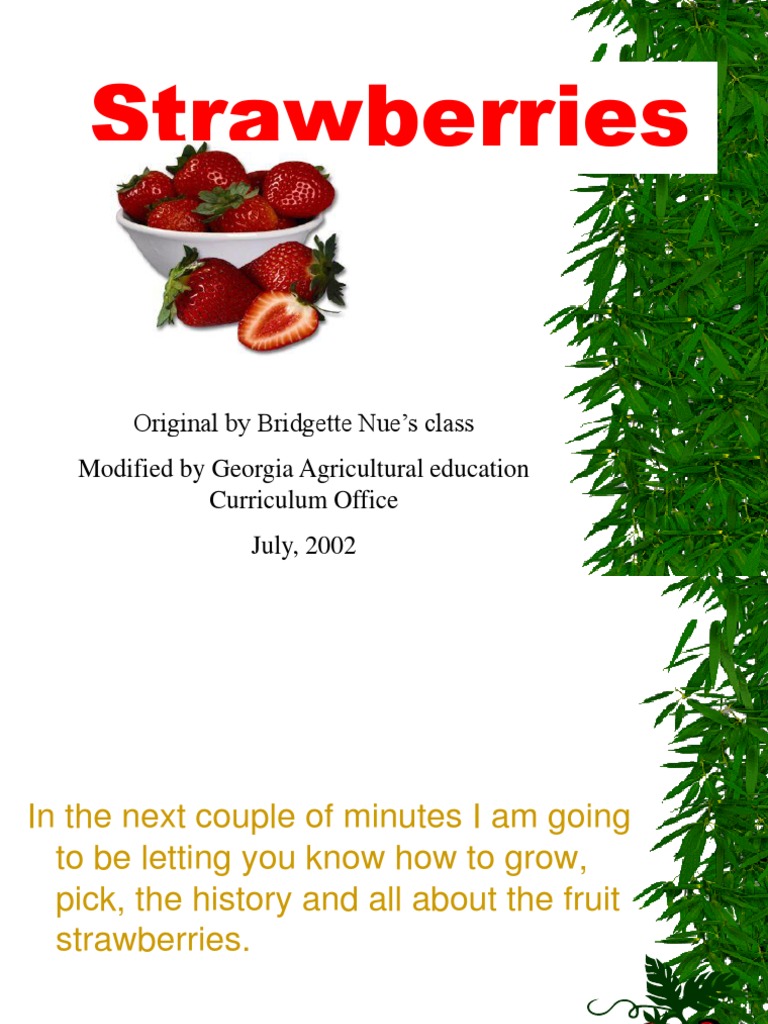 Strawberries .ppt | Strawberry | Perennial Plant
