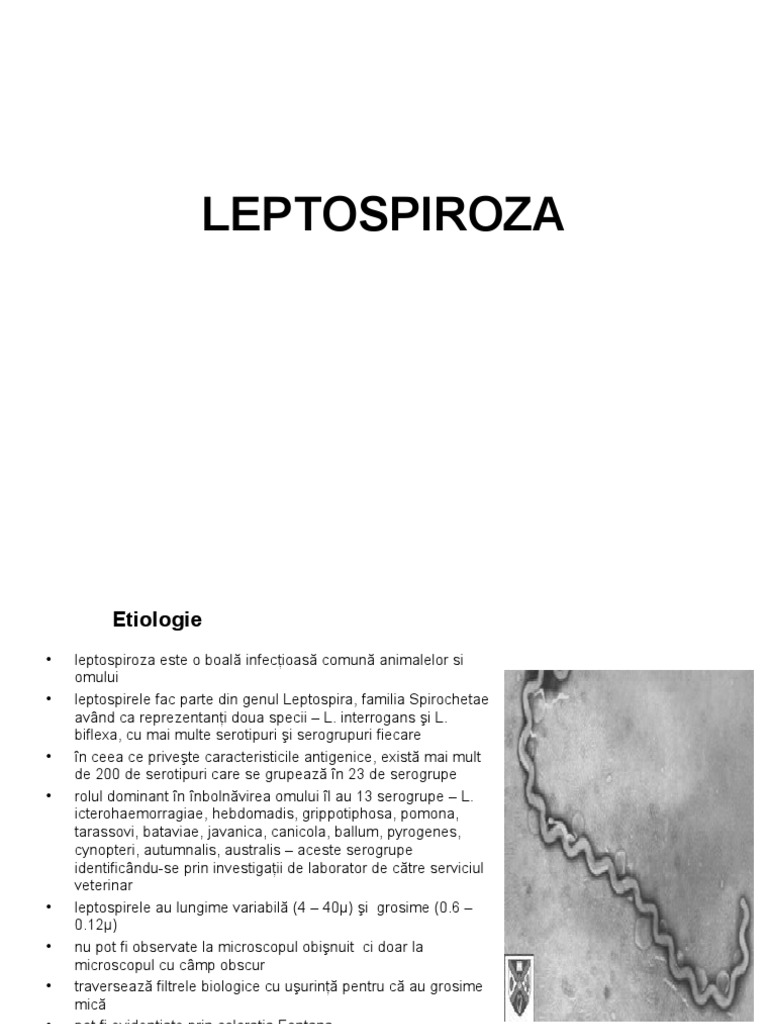 LEPTOSPIROZA | PDF
