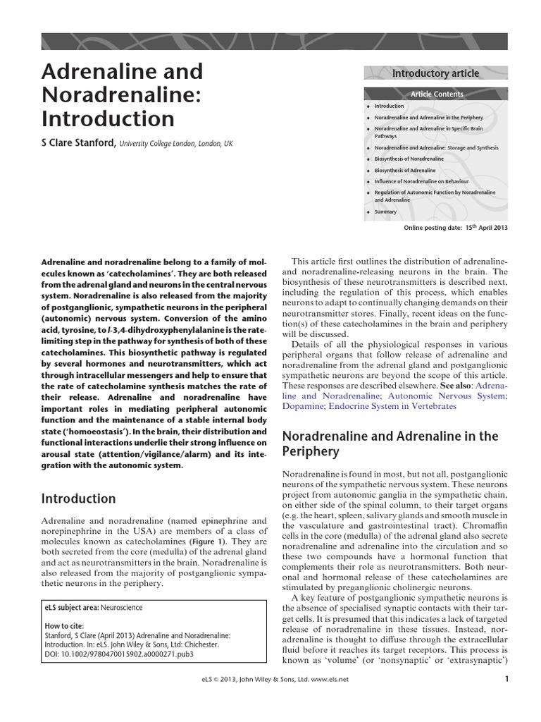 Adrenaline PDF | PDF | Autonomic Nervous System | Norepinephrine