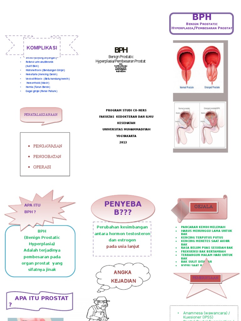 BPH Leaflet | PDF
