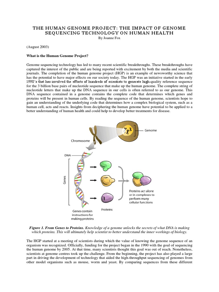 The Human Genome Project | PDF | Human Genome | Genome