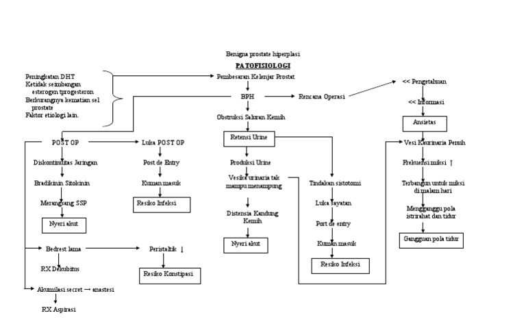 WOC Benigna Prostate Hiperplasi | PDF