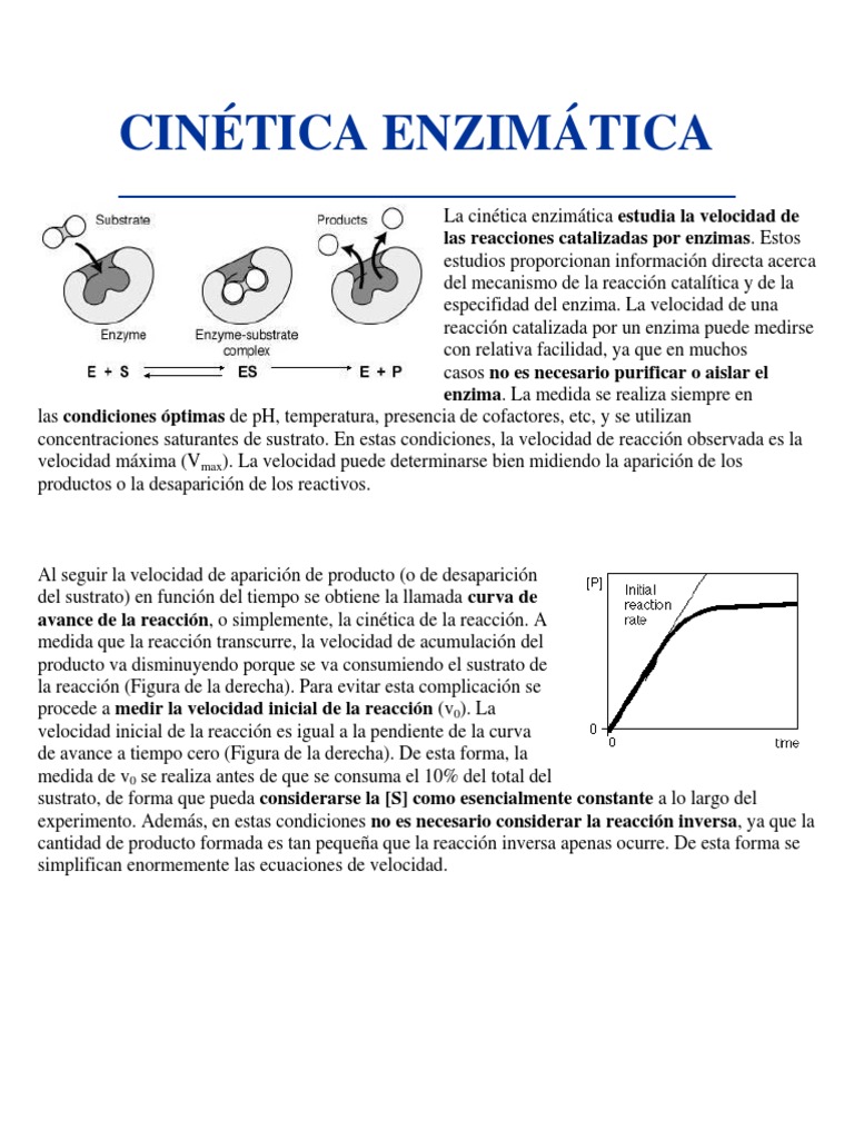 CINÉTICA ENZIMÁTICA | La cinética de enzimas | Enzima