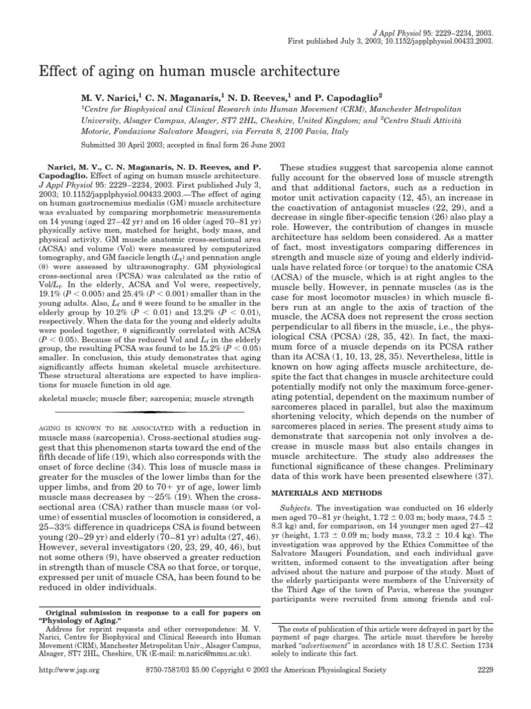 Aging Effects on Muscle Architecture | PDF
