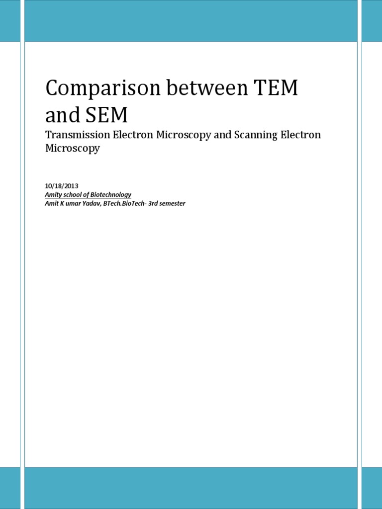 Comparison between TEM and SEM.docx | Scanning Electron Microscope ...