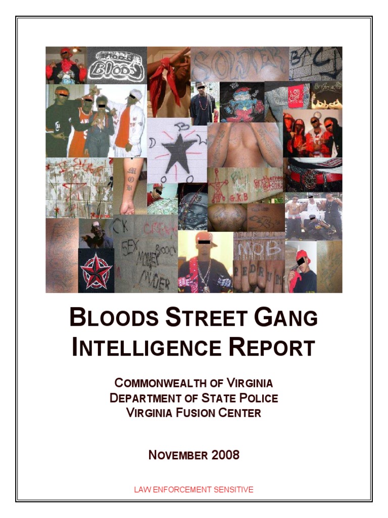 Bloods Gang Intelligence Report | PDF | Gang | Federal Bureau Of ...