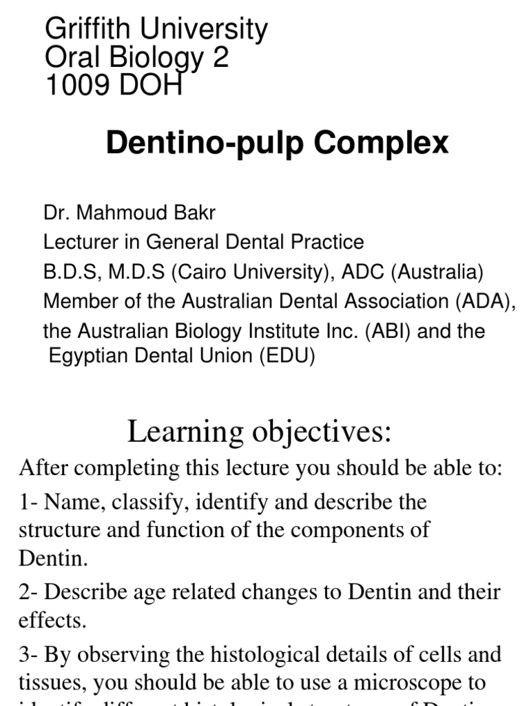 3 - Dentino-Pulp Complex (Mahmoud Bakr) | PDF | Dentin | Human Tooth