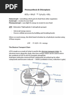 AS Biology Unit 2 Revision Notes | PDF | Meiosis | Evolution