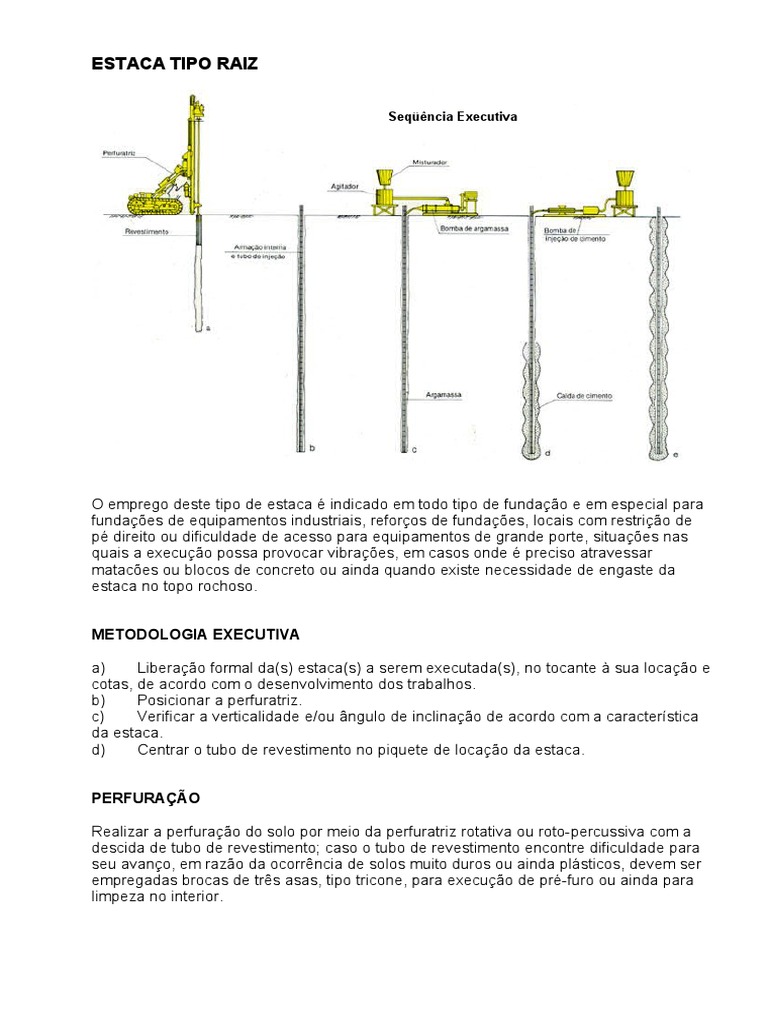 Estacas Raiz | PDF | Tubo de revestimento | Motores