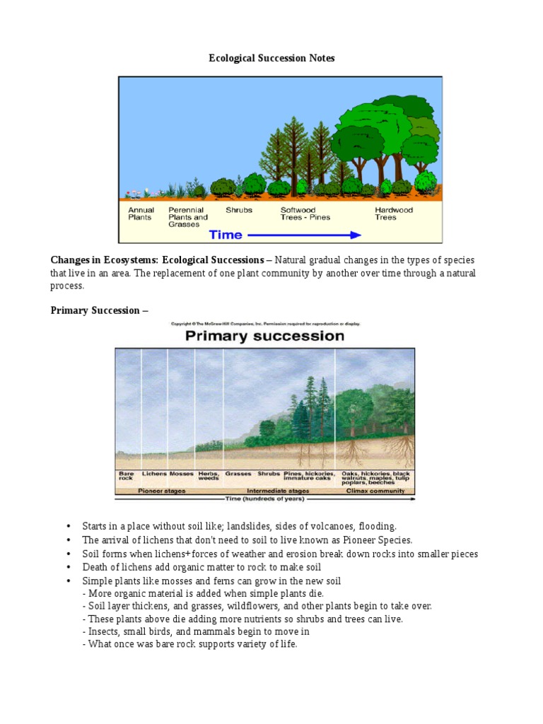 Ecological Succession Presentation | PDF
