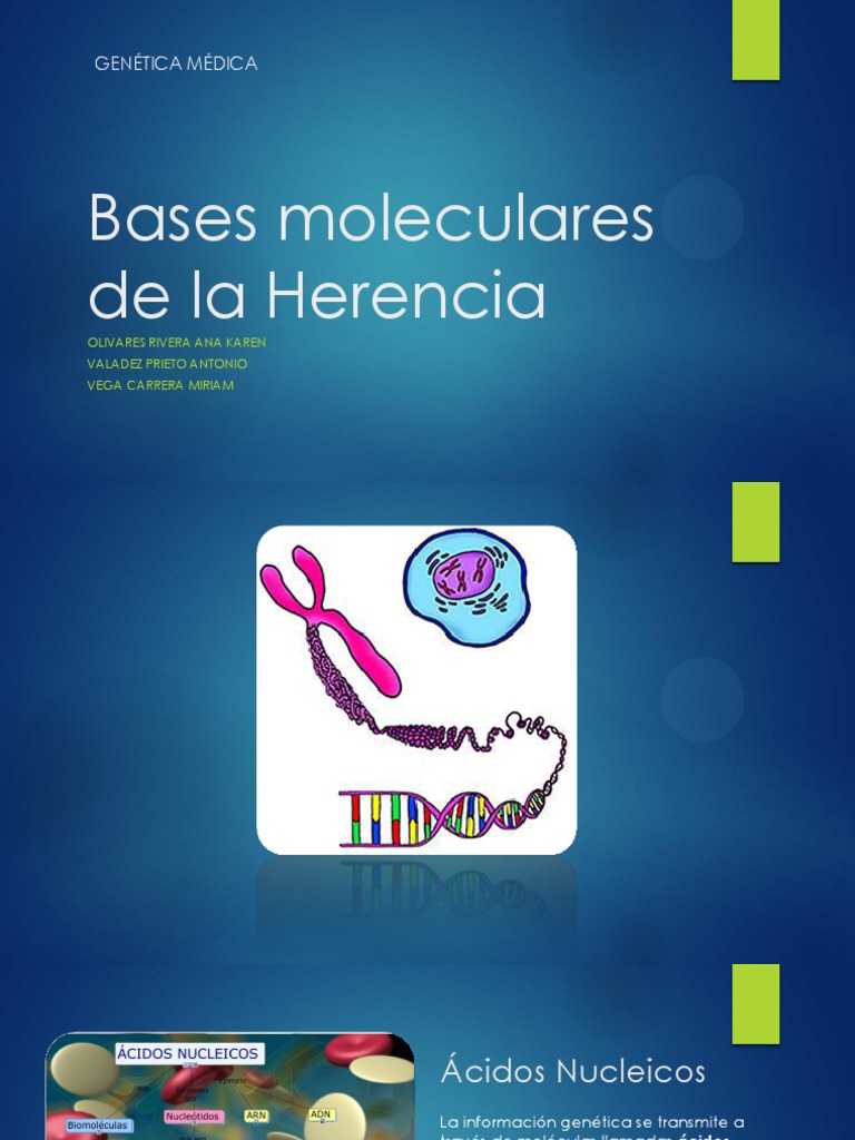 Bases Moleculares de La Herencia y Mutaciones | Adn | Rna