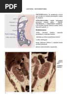 Patología Retroperitoneal: Revisión y Anatomía | PDF | Sarcoma | Cáncer