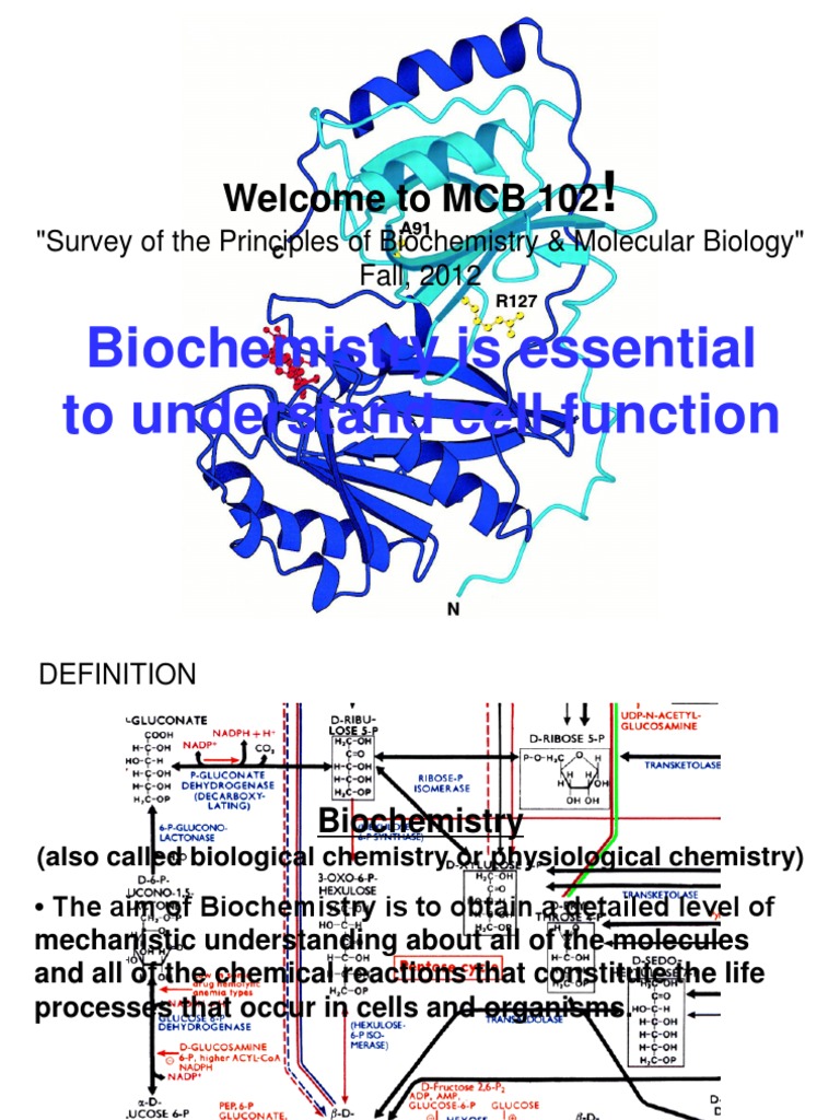 MCB+102+F12+Lect+ 1+POST | PDF | Proteins | Biochemistry