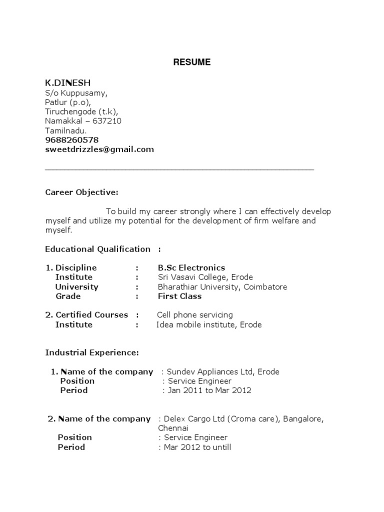 RESUME Dinesh | PDF
