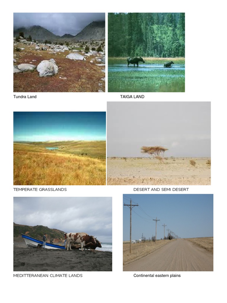 Tundra Land Taiga Land: Temperate Grasslands Desert and Semi Desert | PDF