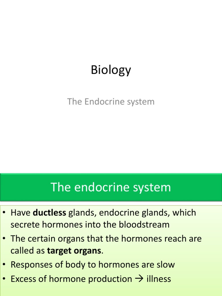 (Biology) The Endocrine System | PDF | Hormone | Adrenal Gland