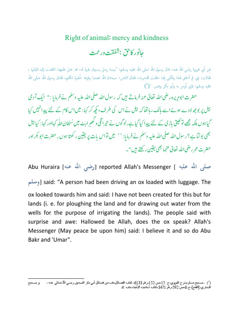 Animal Rights: Mercy and Kindness | PDF | Religion & Spirituality
