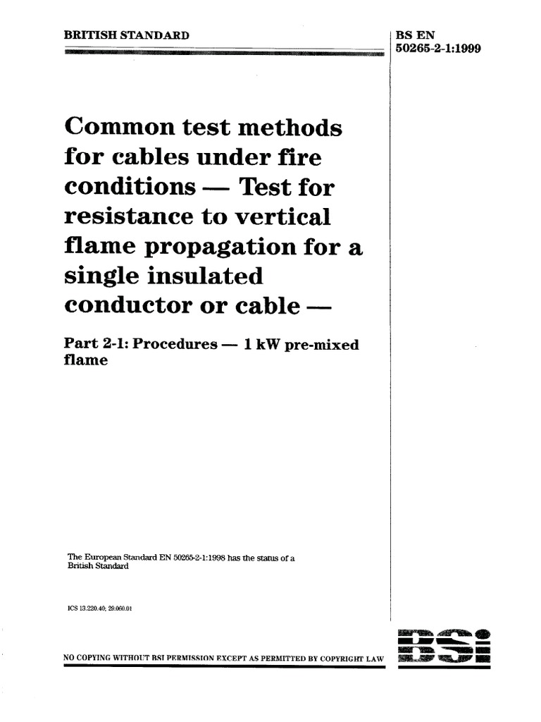 BS EN 50265-2-1-1999 Cable FR Test PDF | PDF