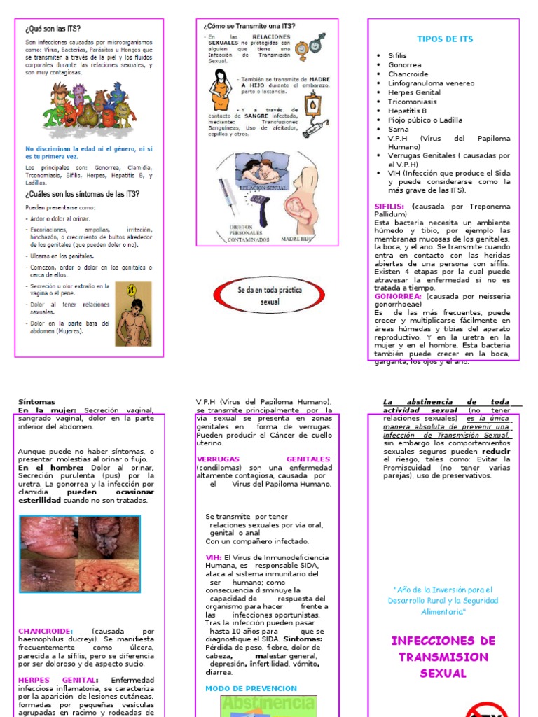 Triptico Its | PDF | Infección transmitida sexualmente | Trastornos ginecológicos