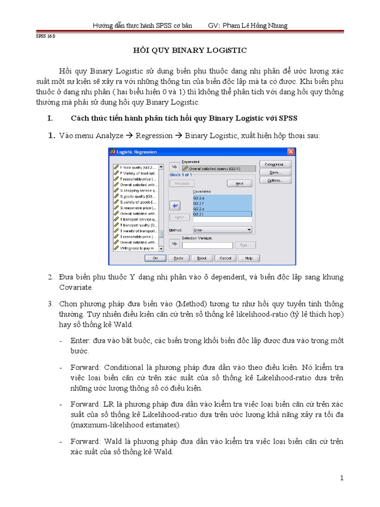 H I Quy Logistic Binary | PDF