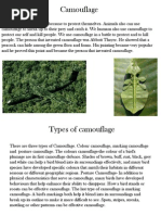 Classroom Butterfly Camouflage Activity | PDF | Camouflage | Mimicry