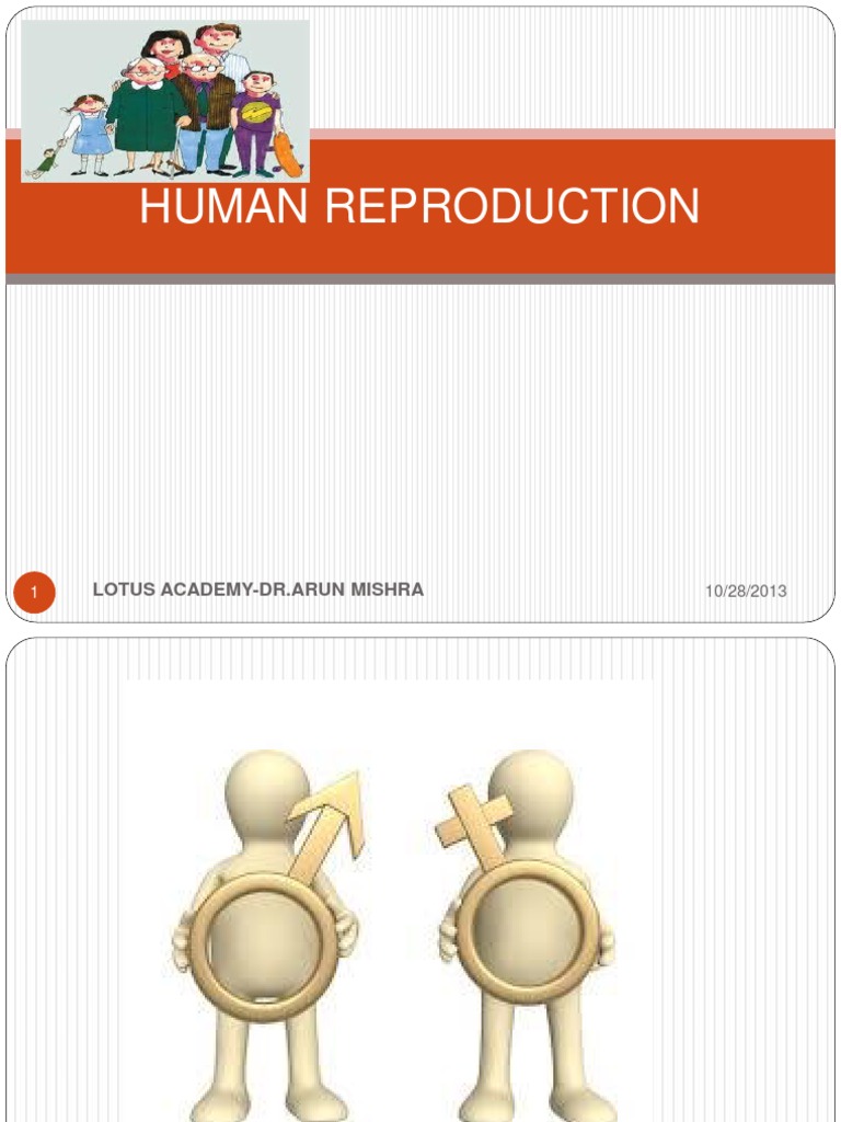 Arun PPT - PPTX ..HUMAN REPRODUCTION FOR HSC Board Maharashtra State ...