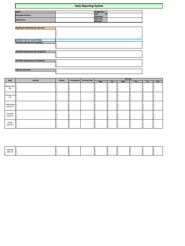 Daily Work Management Tracker Report | PDF