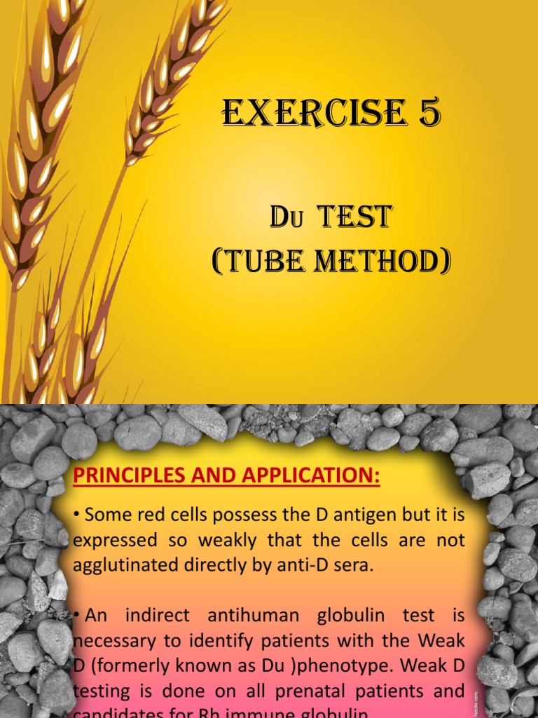 Du Test | PDF | Tissue (Biology) | Veterinary Medicine