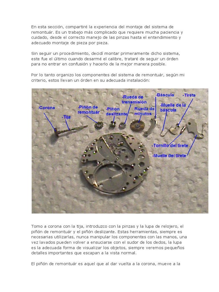 Desmontar Reloj | PDF | Engranaje | Fricción