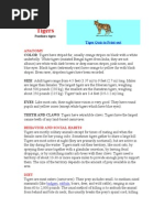 Lion vs Tiger: Mass Comparison Analysis | PDF | Tiger | Lion