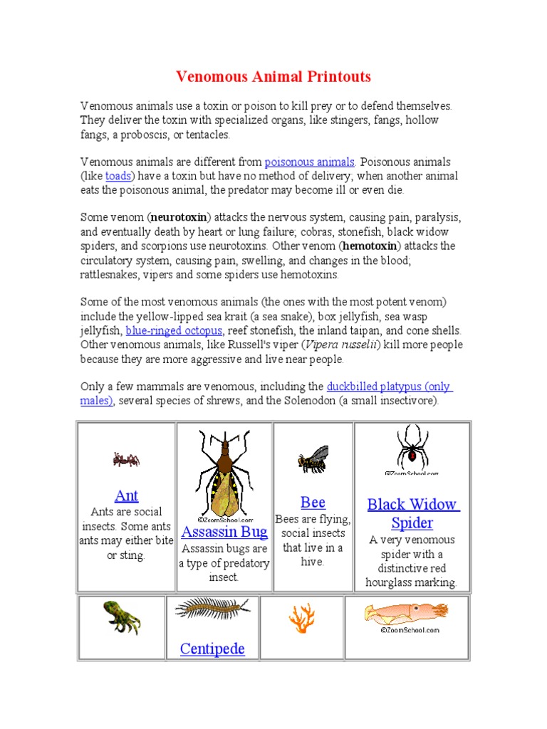 Venomous Animal Printouts | PDF | Venom | Nature