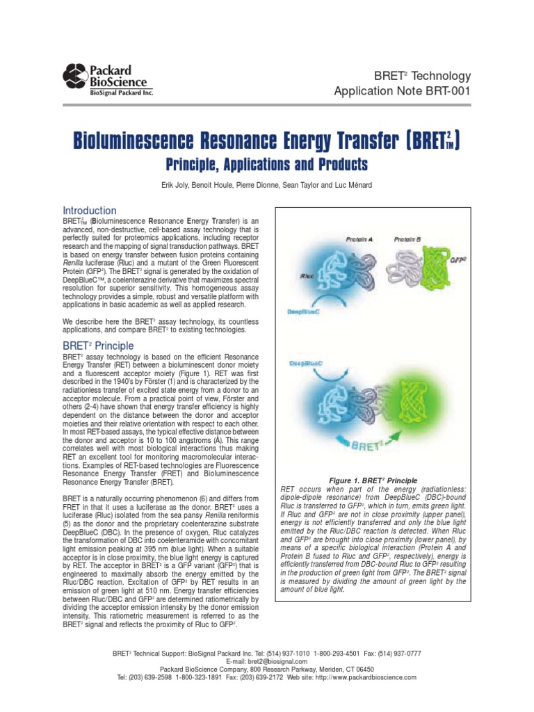 Bioluminescence Resonance Energy Transfer (BRET) : Principle ...