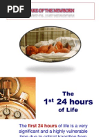 Neonatal Energy Triangle Part 1 | PDF | Hypoglycemia | Health Sciences