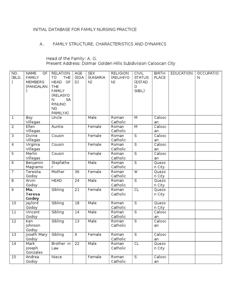 INITIAL DATABASE FOR FAMILY NURSING PRACTICE-Godoy | PDF | Social ...