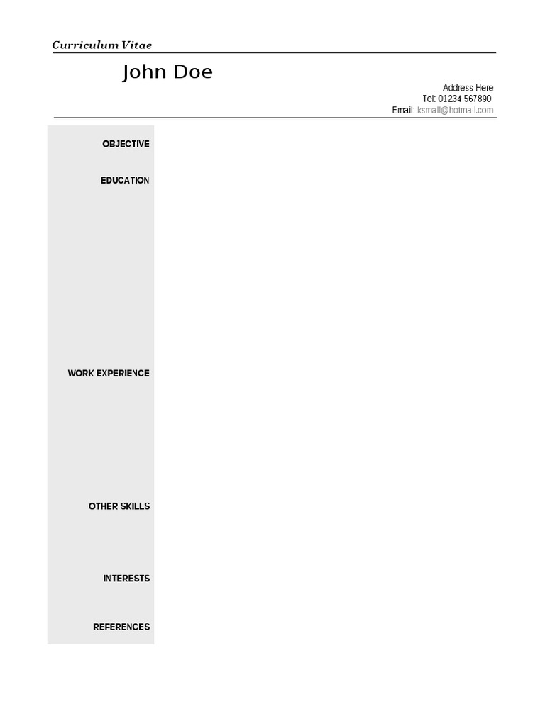 John Doe's Professional CV | PDF