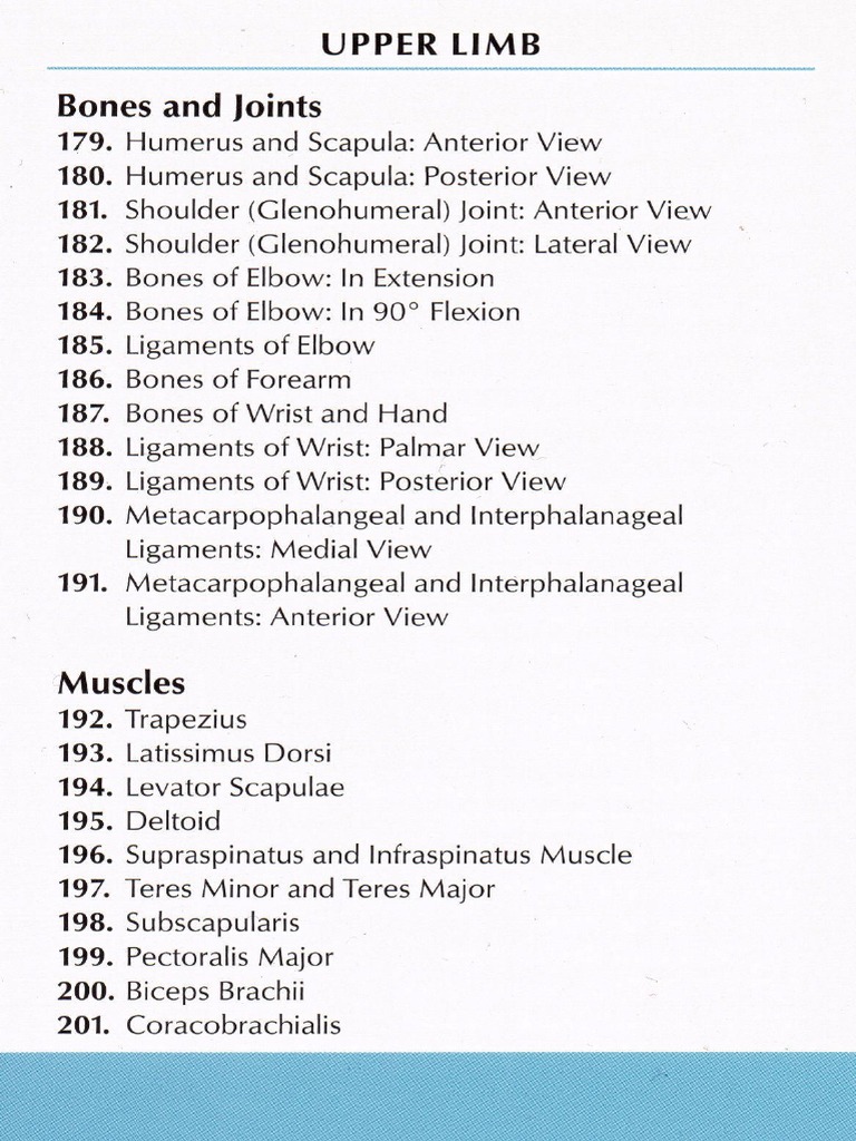 Anatomic Flash Cards PDF | PDF