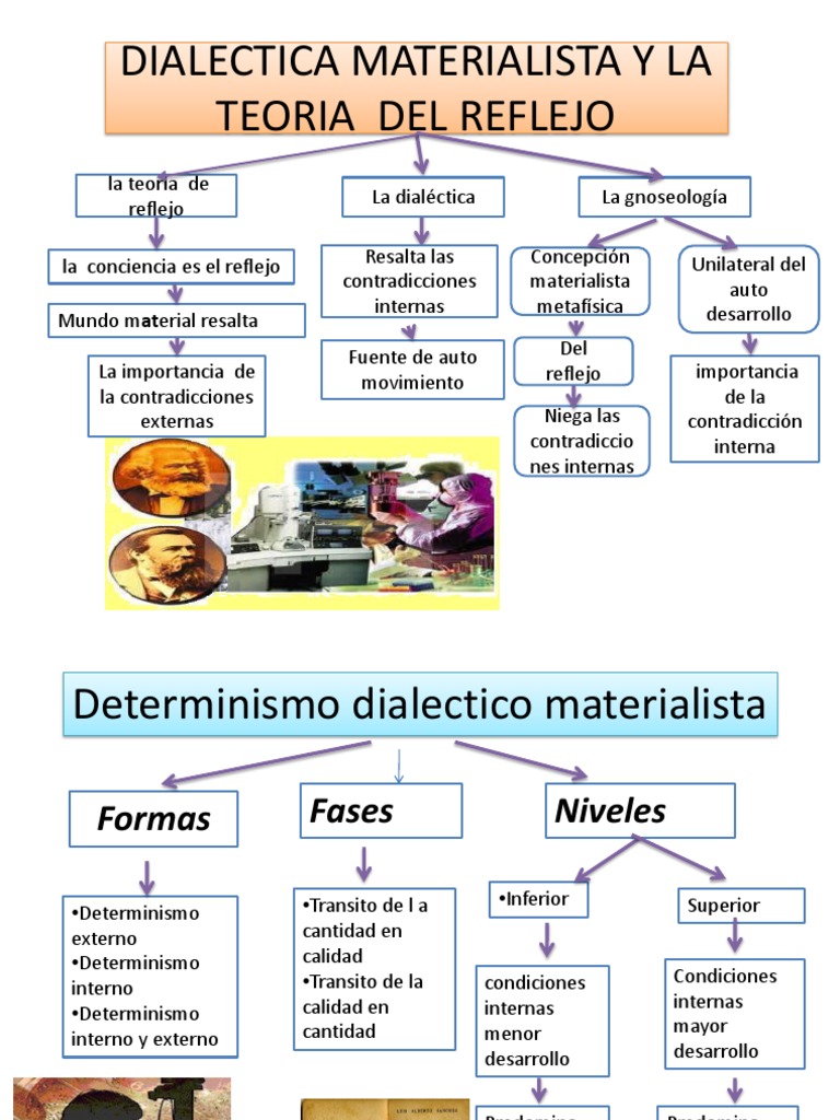Dialectica Materialista y La Teoria Del Reflejo - PPSX Elizabeth | PDF