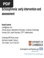 Mini International Neuropsychiatric Interview | PDF | Psychiatry ...