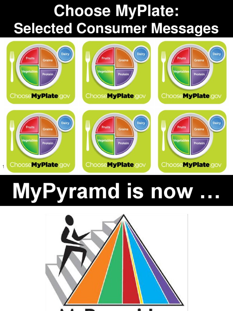 Myplate | PDF | Whole Grain | Bean