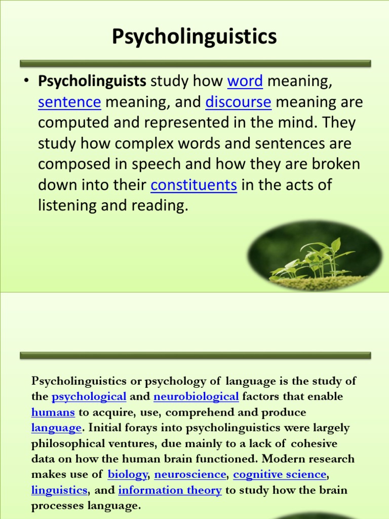 Psycholinguistic 1 | Psycholinguistics | Language Acquisition