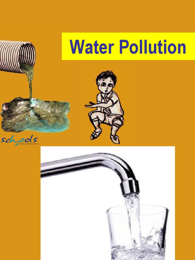 Water Pollution Causes & Effects | PDF | Eutrophication | Water Pollution